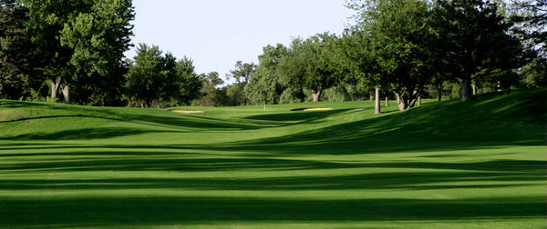Monaco Bermuda Grass Seed | Seed World