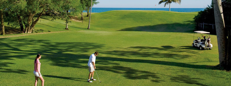 Seed World - Grass Seed, Food Plot Seed, Gardening, Lawn, Pest Control