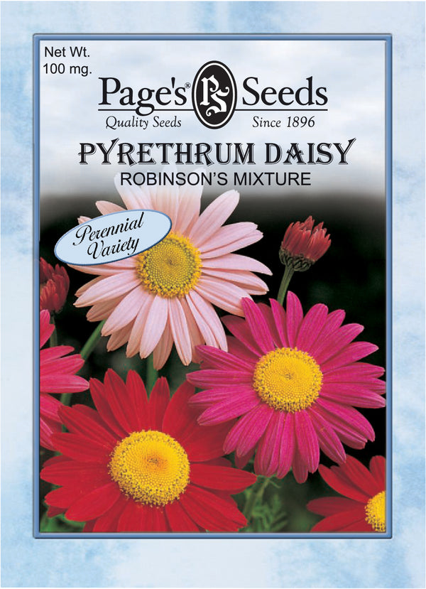 Pyrethrum, Robinson’s Mixture Seeds - 1 Packet | Seed World