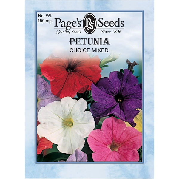 Petunia Choice Mixed Colors Seeds - 1 Packet | Seed World