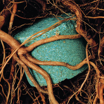 Agriform Tablet Fertilizer 20-10-5 Slow Release - 1000 x 10 grams ...