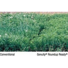Wildlife Food Plot Seed | Seed World
