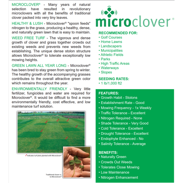 Micro Clover Seed Coated & Inoculated | Seed World