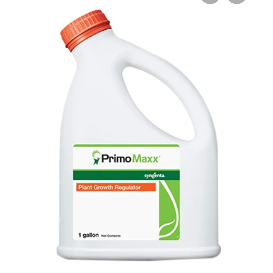 Primo MAXX PGR Plant Growth Regulator - 1 Gallon | Seed World