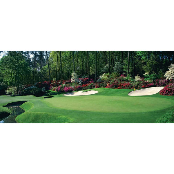 Princess 77 Bermuda Grass Seed | Seed World