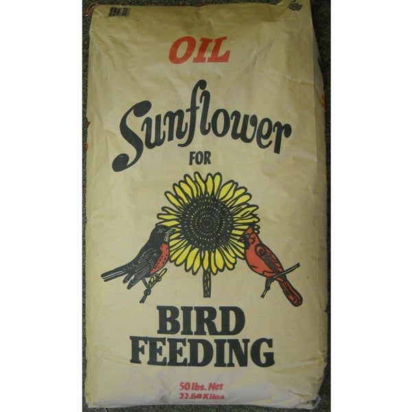Shafer Black Oil Bird Food Seed - 50 Lbs. | Seed World
