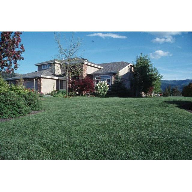 Lawn Grass Seed - Top Brands and Varieties from Scotts, Pennington ...