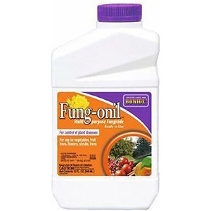 Fung-onil Fungicide RTU - 1 quart | Seed World