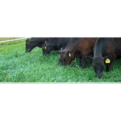 Wildlife Food Plot Seed | Seed World