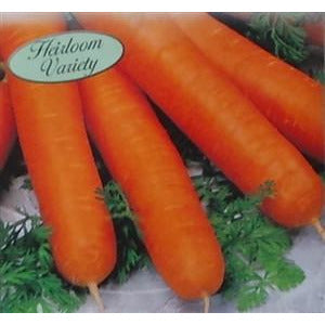 Carrot Nantes Coreless Seed Heirloom - 1 Packet | Seed World