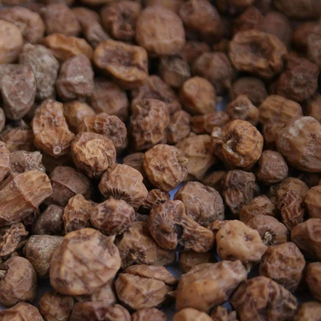Tiger Nut Seed | Seed World